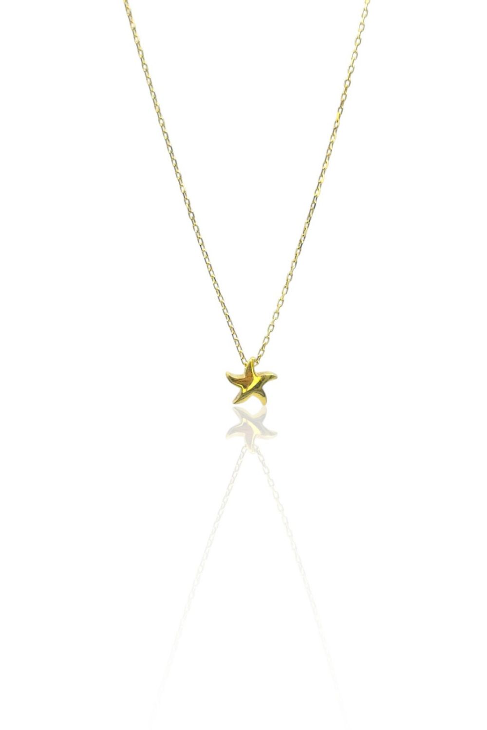 Mini Deniz Yıldızı Kolye - mutlumikrop.com