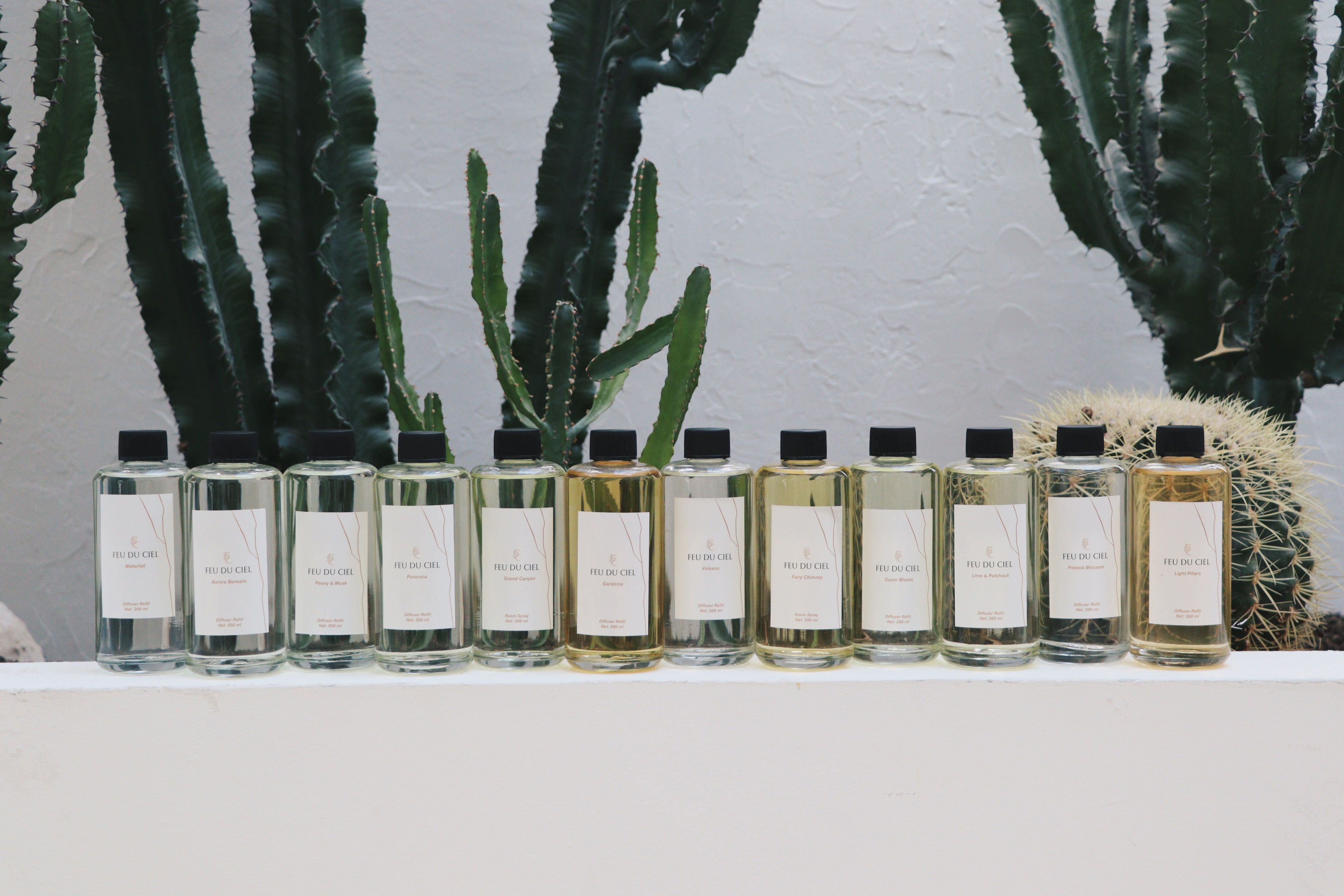 Super Bloom Refill - mutlumikrop.com