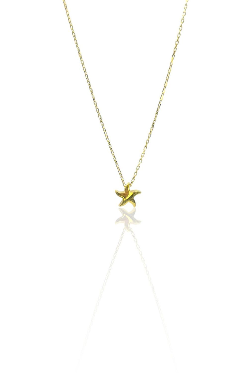 Mini Deniz Yıldızı Kolye - mutlumikrop.com