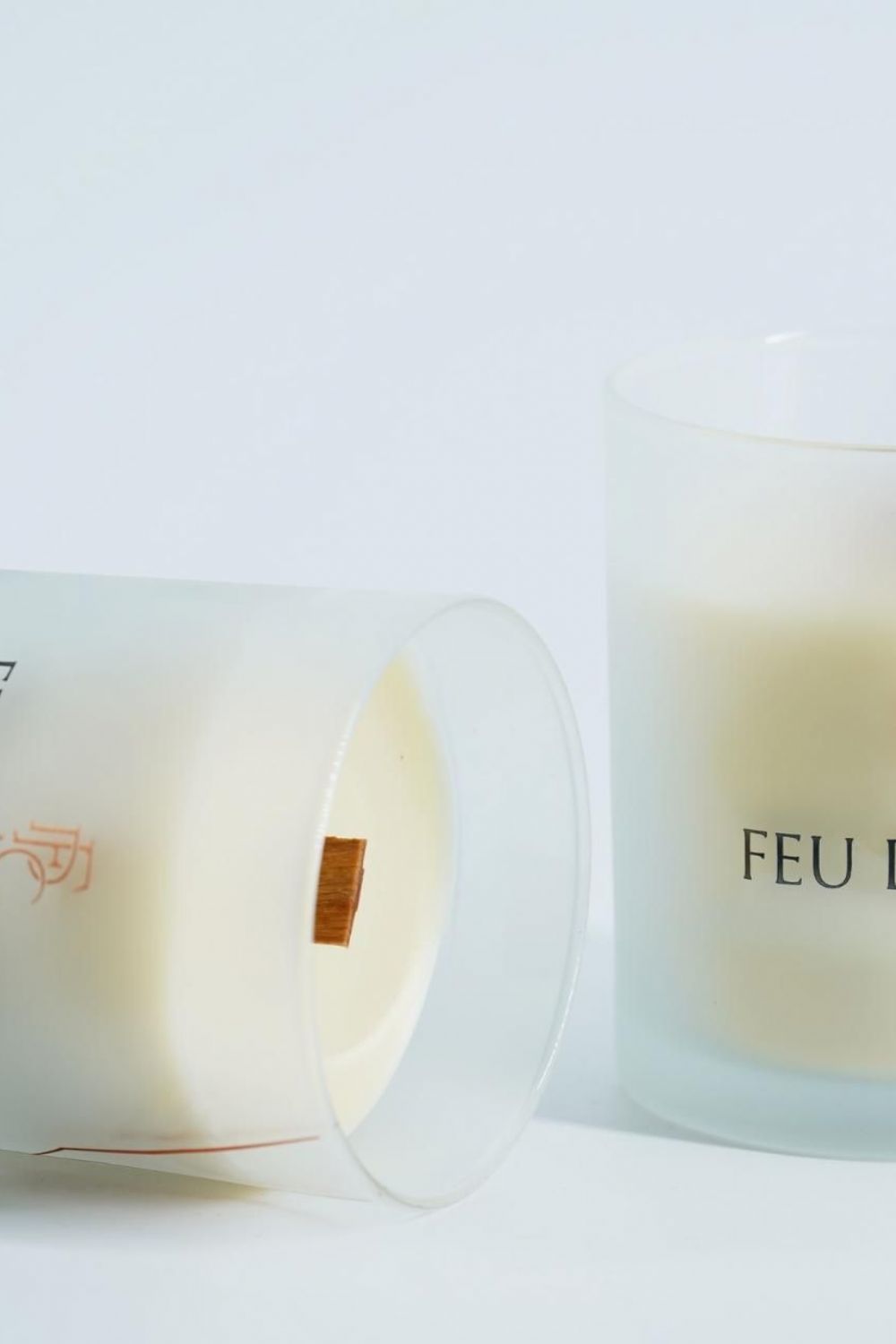 Premium Gardenia Mum - mutlumikrop.com