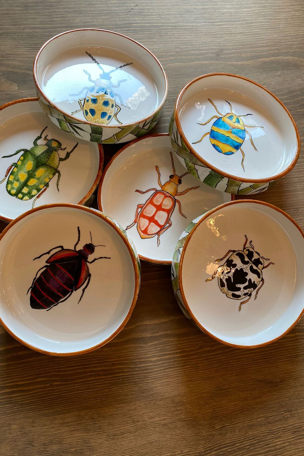 BUGS Set - mutlumikrop.com